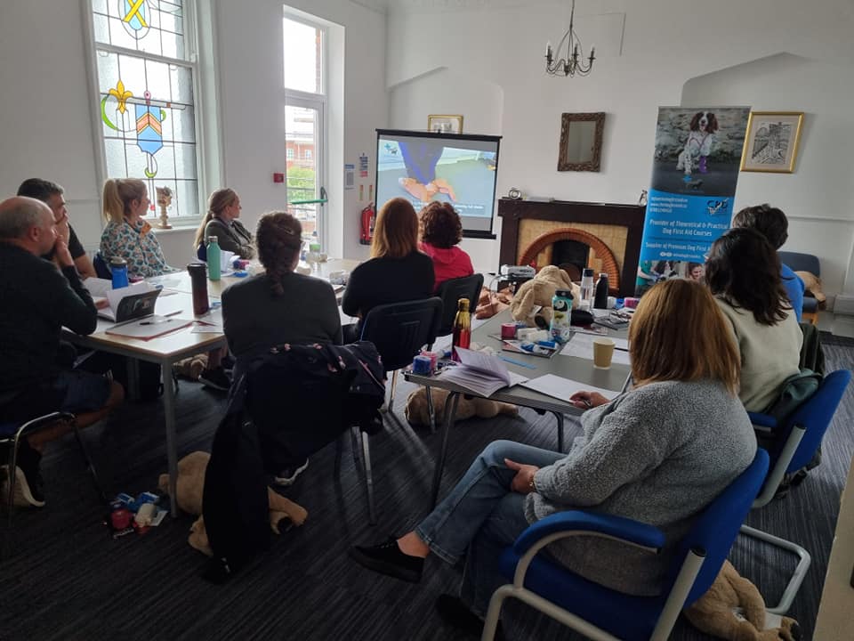 Dog First Aid Course | The Dog First Aid Co.